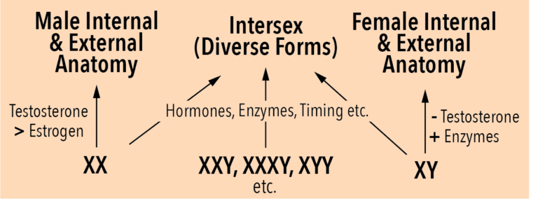 Can We Create Common Ground on the Issue of Transgenderism? - CCG