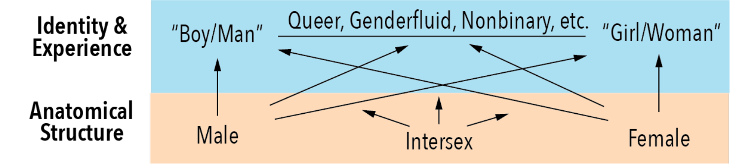 Can We Create Common Ground on the Issue of Transgenderism? - CCG